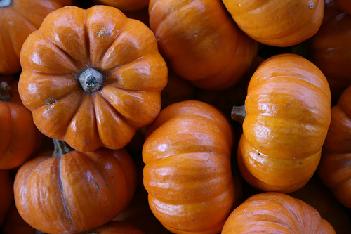 10 Examples Of Orange In Fall